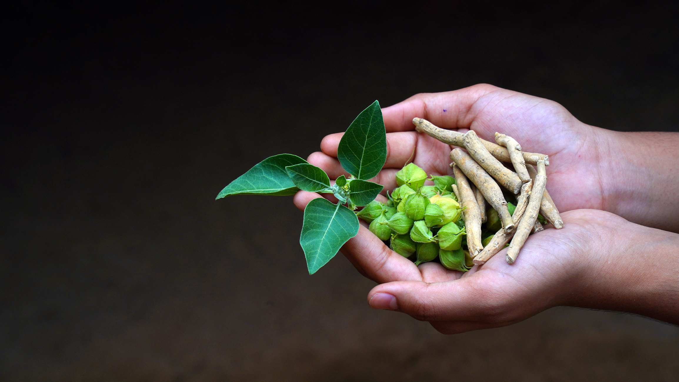 Mi az ashwagandha és mire jó?